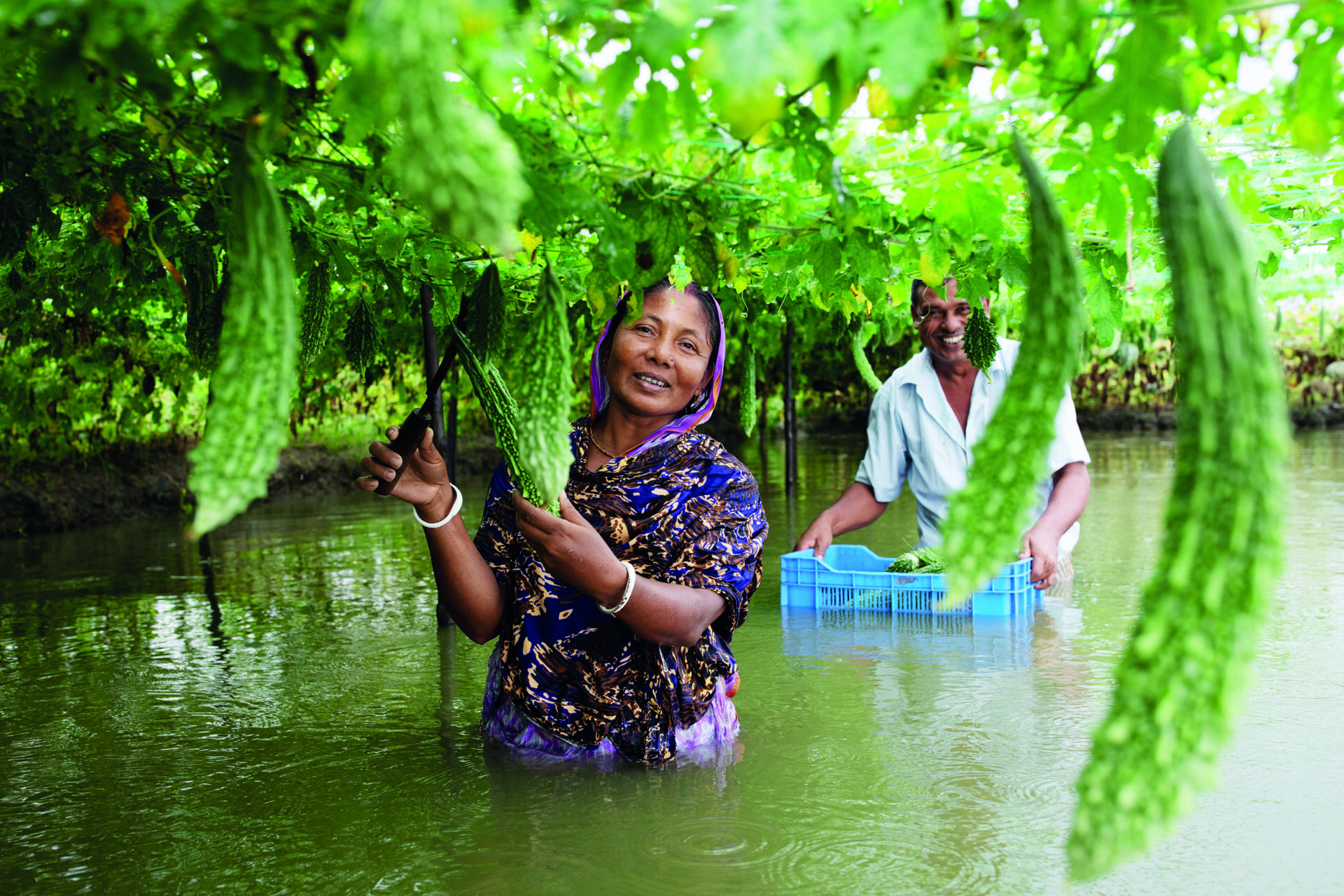 Practical Action - Bluedot