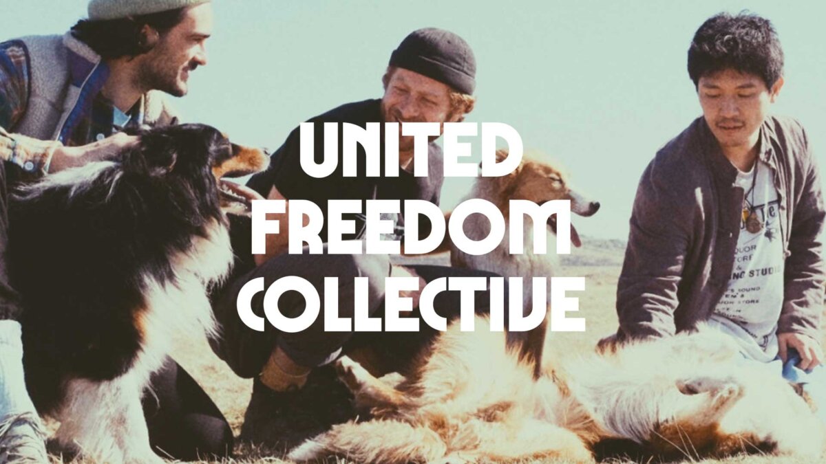 United Freedom Collective - Bluedot