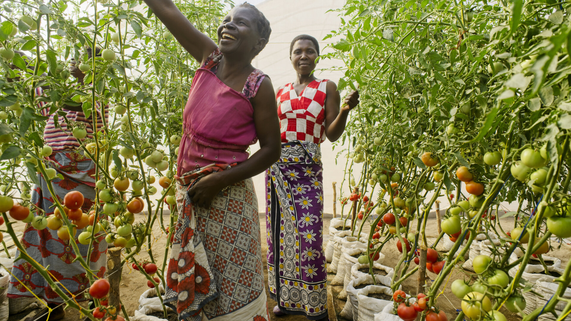 Exhibitors revealed for bluedot 2023 - Bluedot