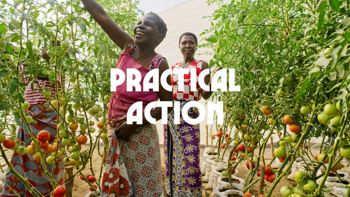 Practical Action - Bluedot