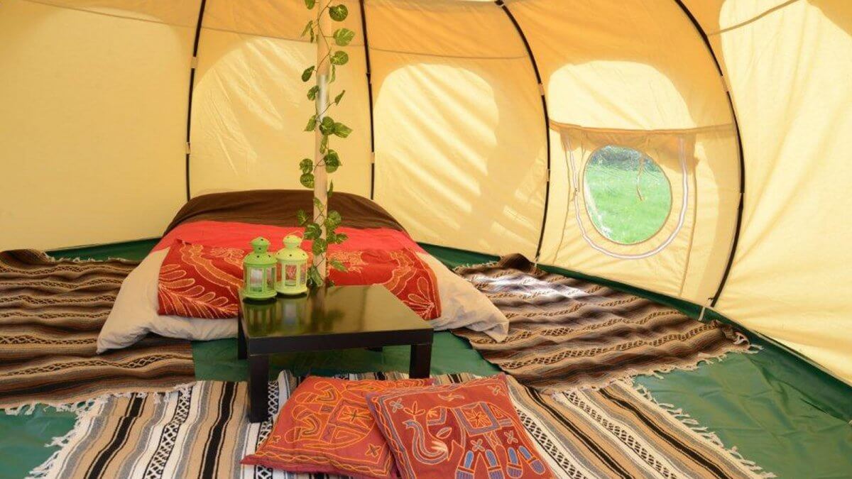 Lotus (5m) - Bluedot