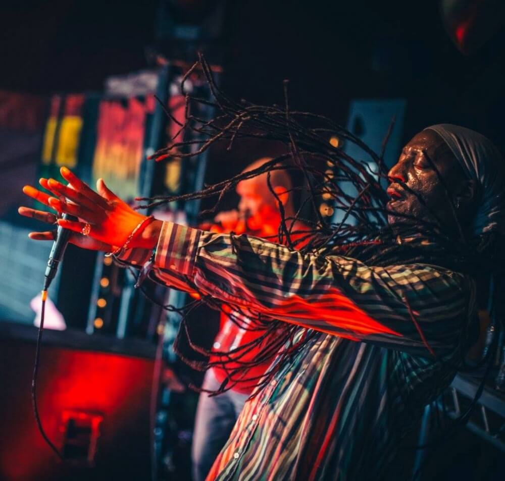 Nucleus Roots - Bluedot