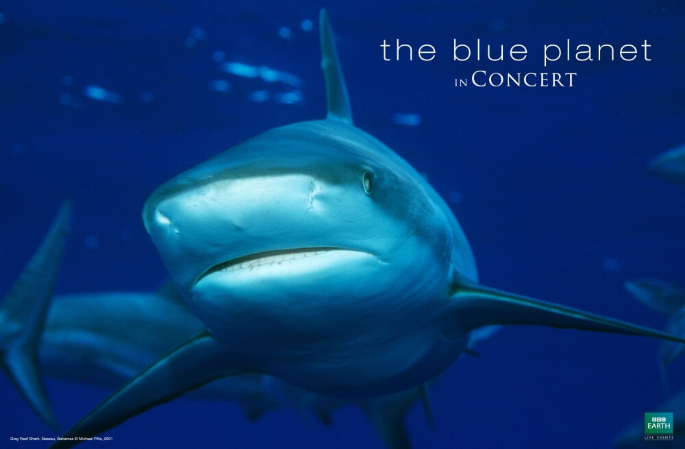 Blue Planet In Concert with the Hallé Orchestra - Bluedot Festival 2018